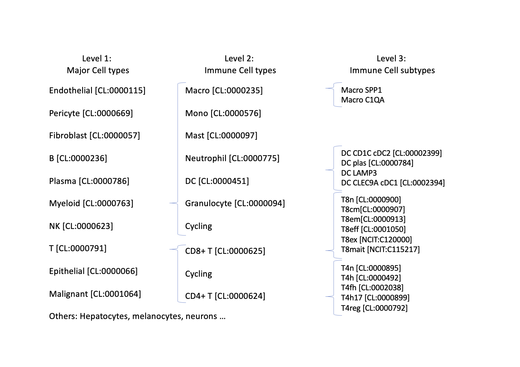 IMMUcan SingleCell RNAseq Database